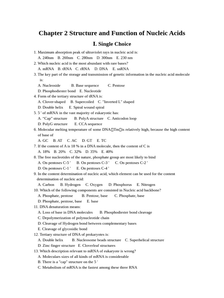 Nucleic Acids: Structure & Function Insights | PDF | Nucleic Acids | Dna