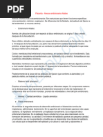 Desarrollo del Saco Coriónico en Humanos | PDF | Ciencia y matemáticas