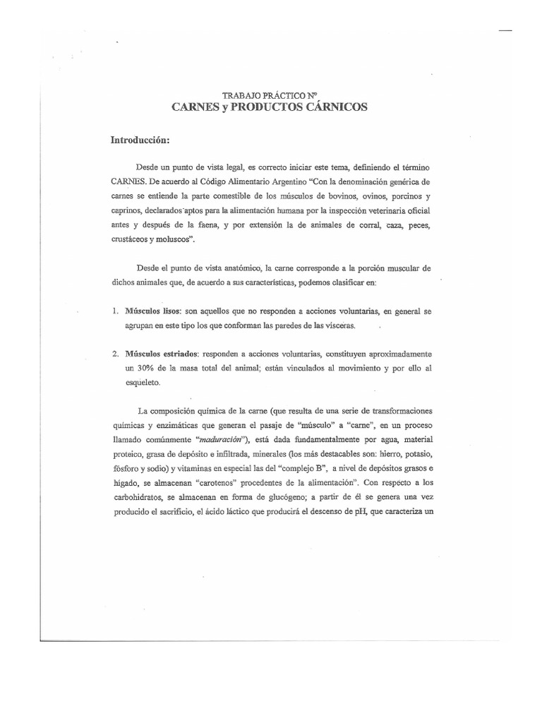 TP Carne | PDF