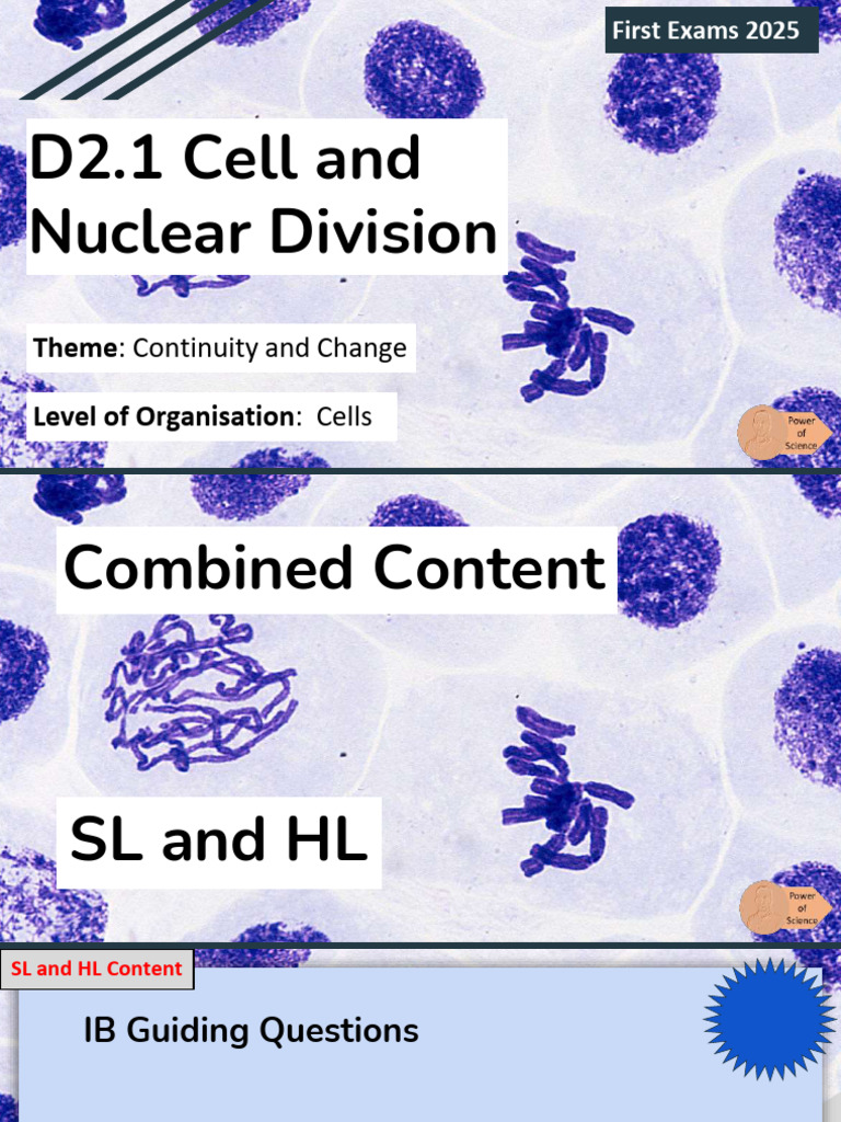 D2.1 Cell and Nuclear Division - HL | PDF | Meiosis | Mitosis