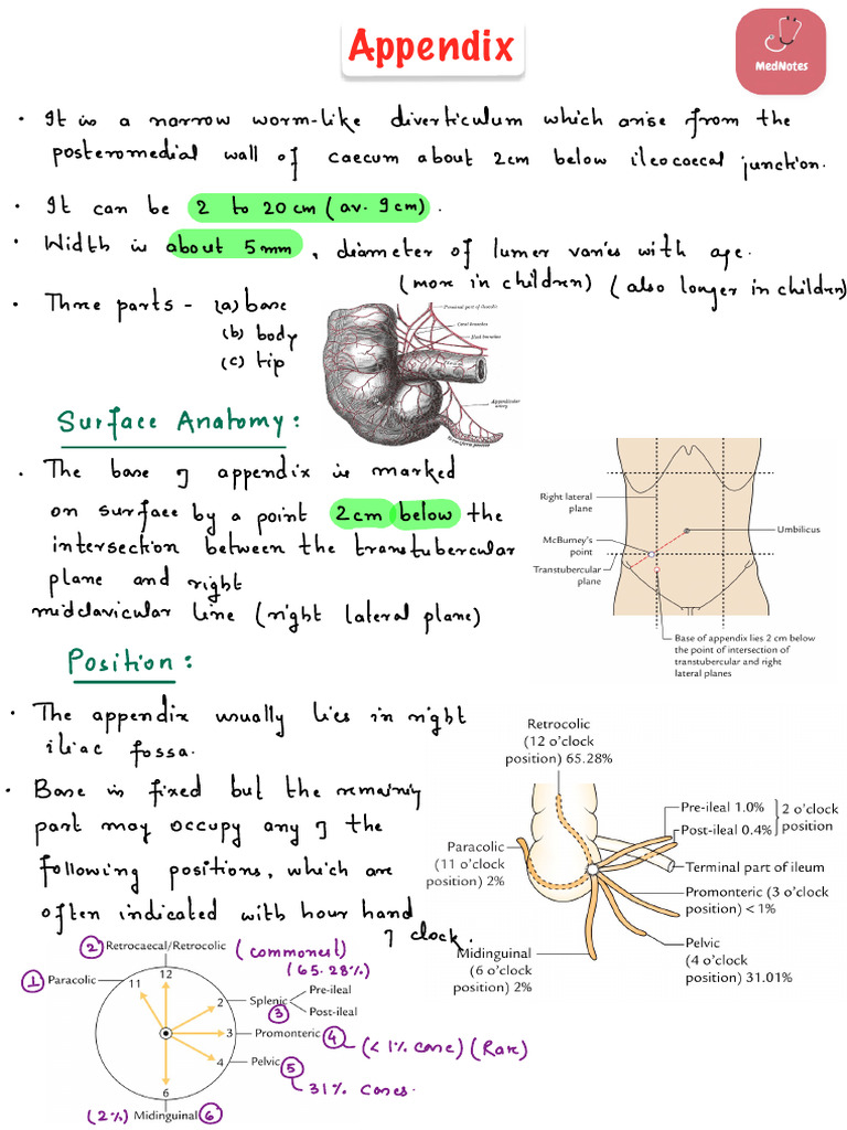Anatomy and Diagnosis of Appendicitis | PDF | Vein | Clinical Medicine