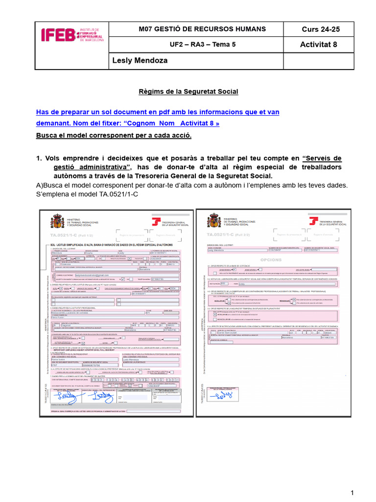 M07 UF2 RA3 Tema 5 Activitat 8 | PDF