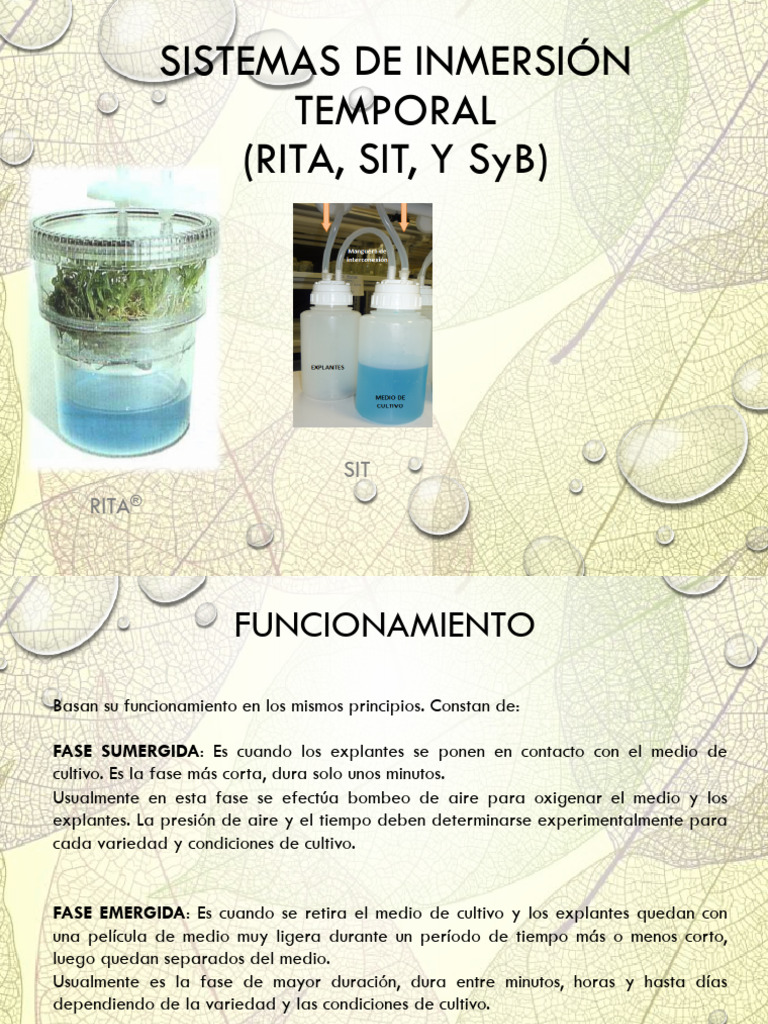 Sistemas Inmersión Temporal | PDF