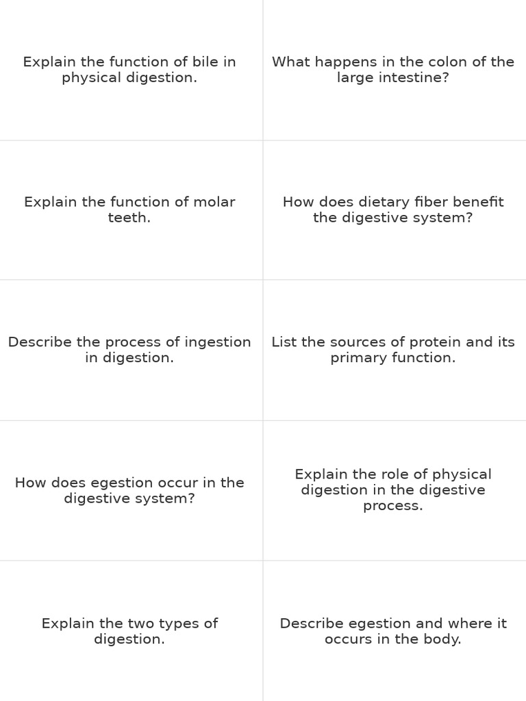 Digestive System Overview and Functions | PDF | Digestion | Human ...