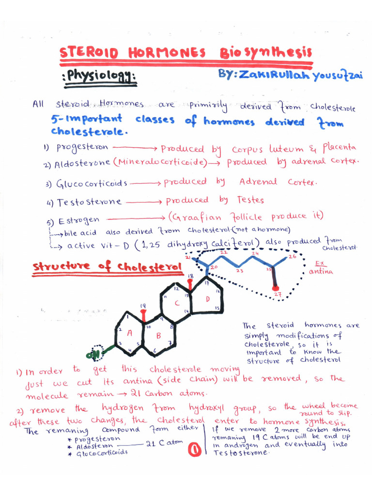 5 Steroid Hormones Biosynthesis | PDF