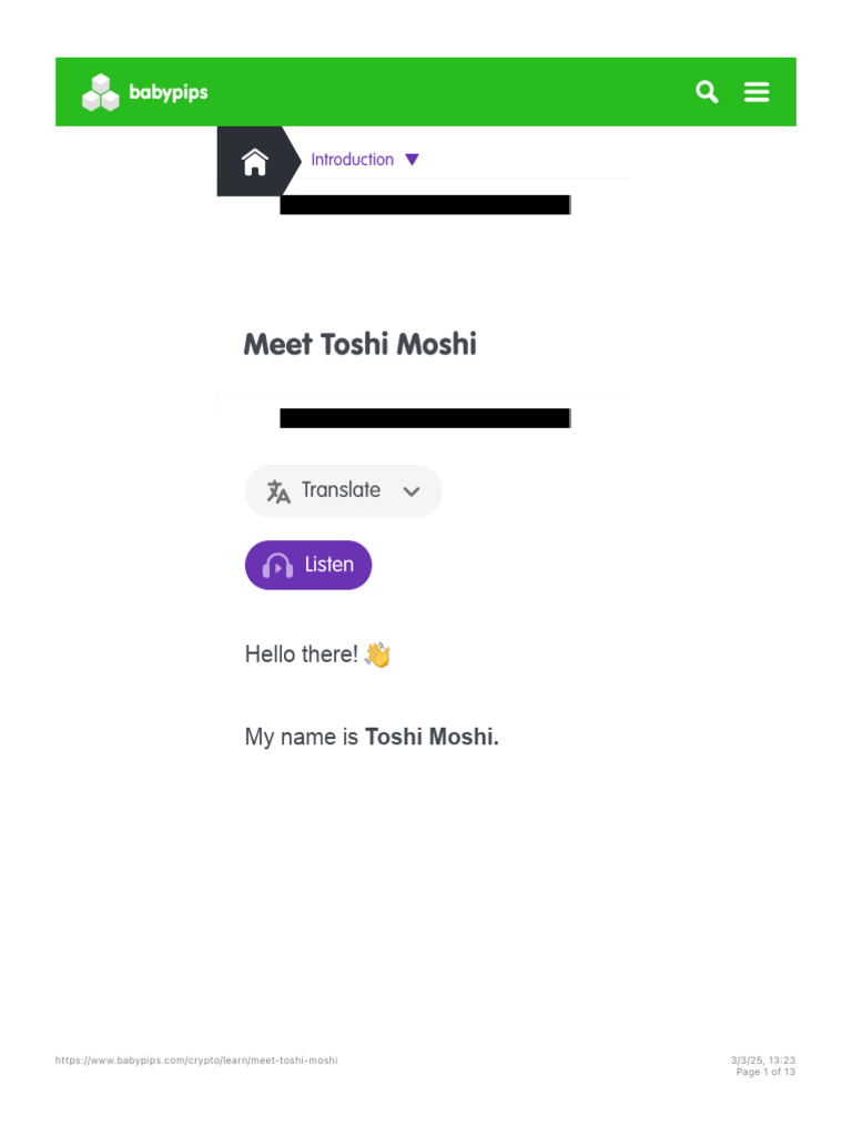 3 Meet Toshi Moshi | PDF | Cryptocurrency | Foreign Exchange Market