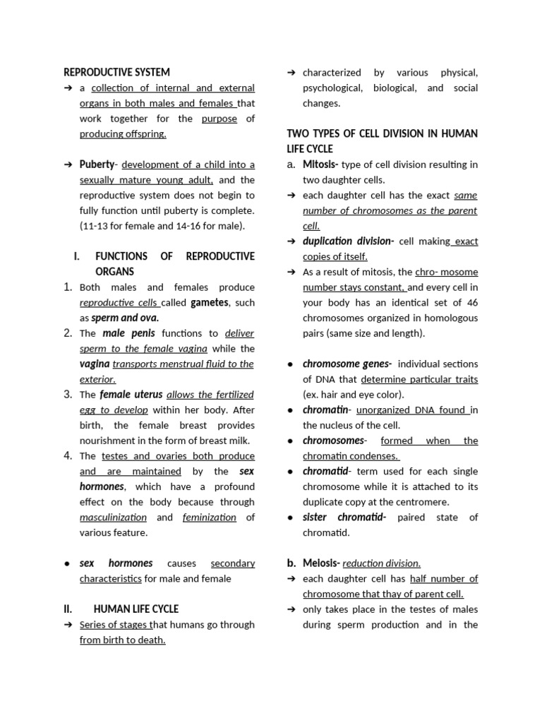 Reproductive System Part 1 | PDF | Meiosis | Ovary