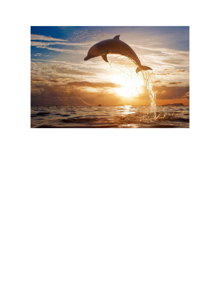 Delfin | PDF