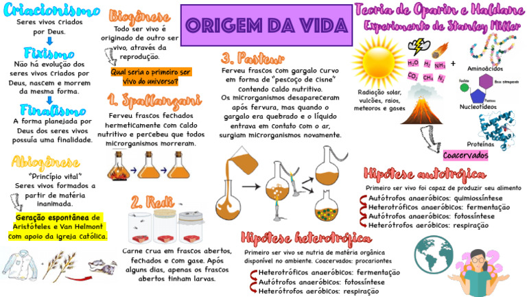 Origem da vida - mapa mental | PDF | Abiogênese | Organismos