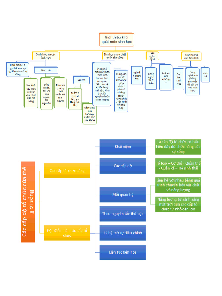 Sơ Đ Tư Duy | PDF