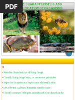 Taxonomy Foldable Instructions | PDF | Taxonomy (Biology) | Cell (Biology)