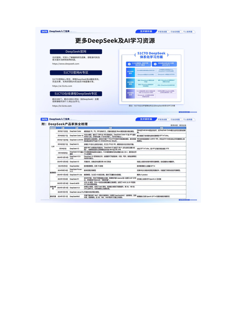 deepseek入门 | PDF