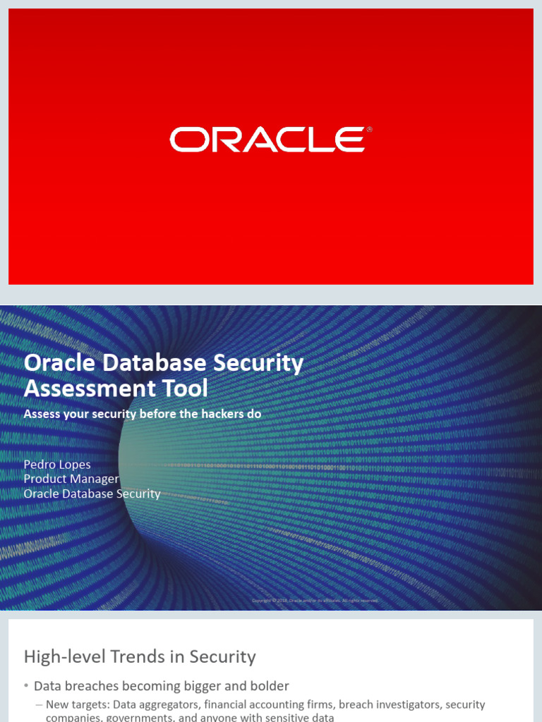 Dbsec Dbsat Public 4219331 | PDF | Security | Computer Security
