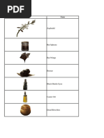Deepwoken Potion Recipes Guide | PDF