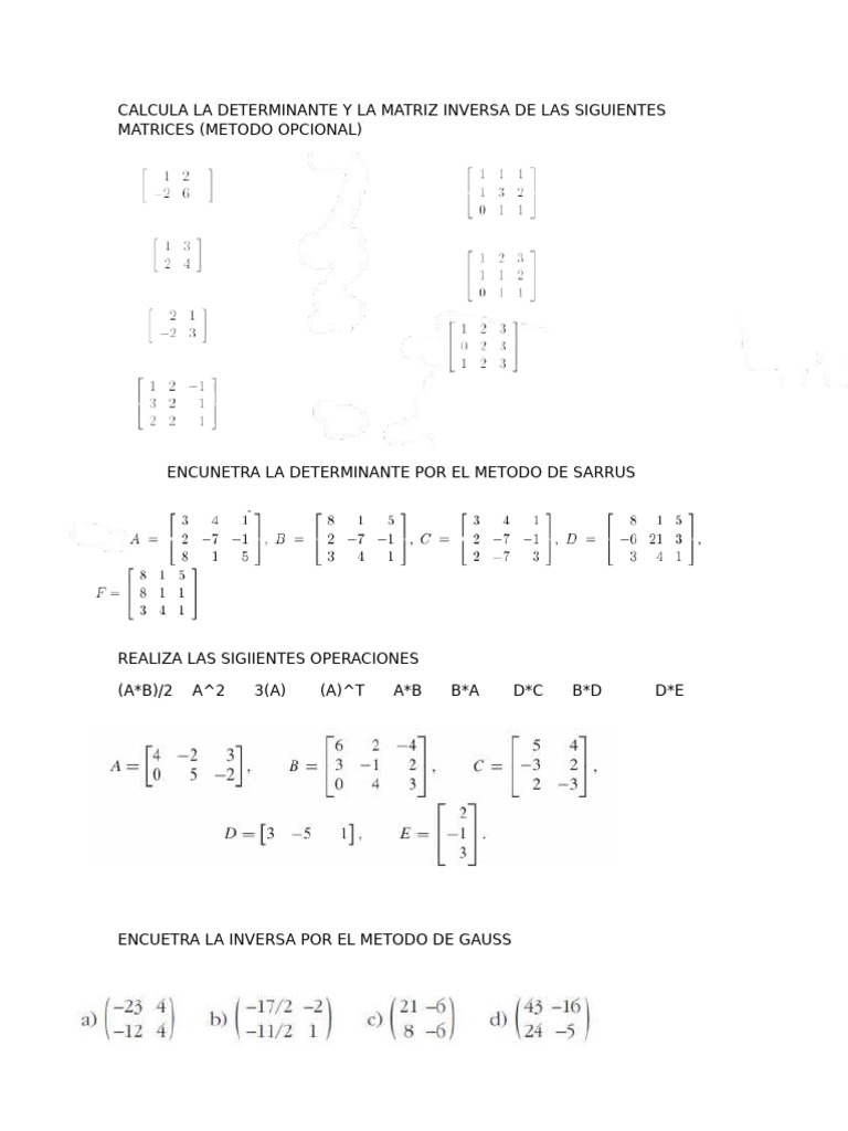 CALCULA LA DETERMINANTE Y LA MATRIZ INVERSA DE LAS SIGUIENTES MATRICES ...