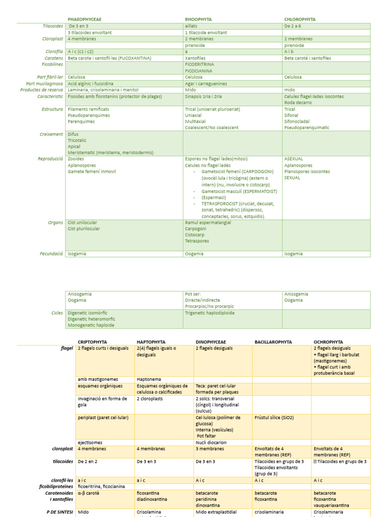 Taulas Comparativas Botanica Marina | PDF