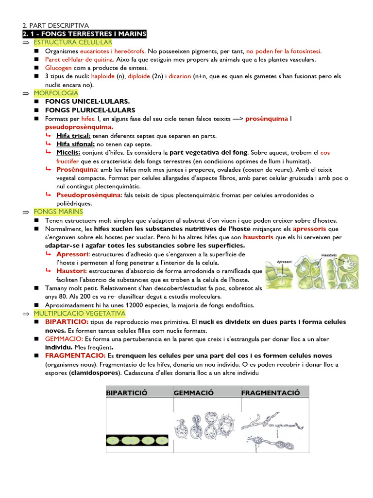 BOTANICA MARINA PART DESCRIPTIVA (Apunts Esquemàtics) | PDF