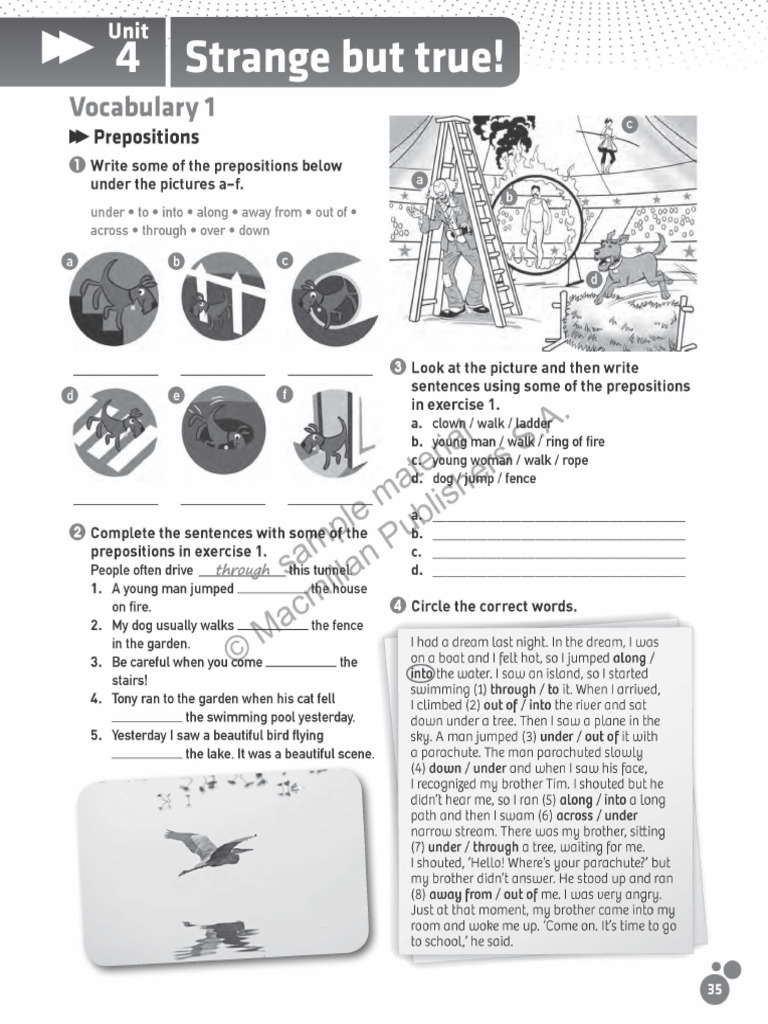Phases 2nd Edition Workbook Level 2 | PDF
