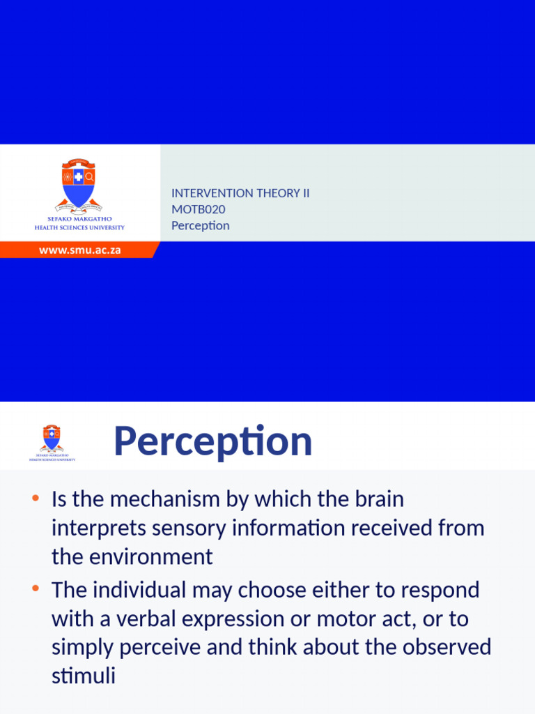 MOTB020- Perception 2021 | PDF | Perception | Somatosensory System