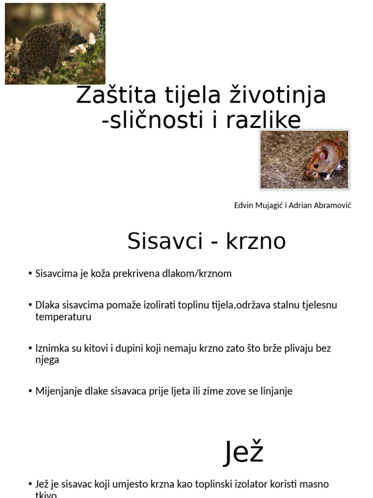 Zastita Tijela Zivotinja | PDF
