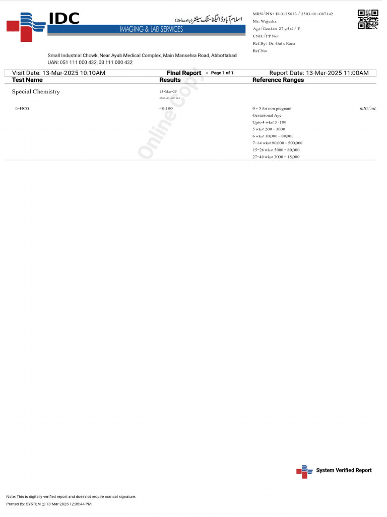 Patient Report PDF | PDF
