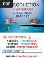 Life Sciences Study Guide Grade 12 | PDF | Menstrual Cycle | Fertilisation