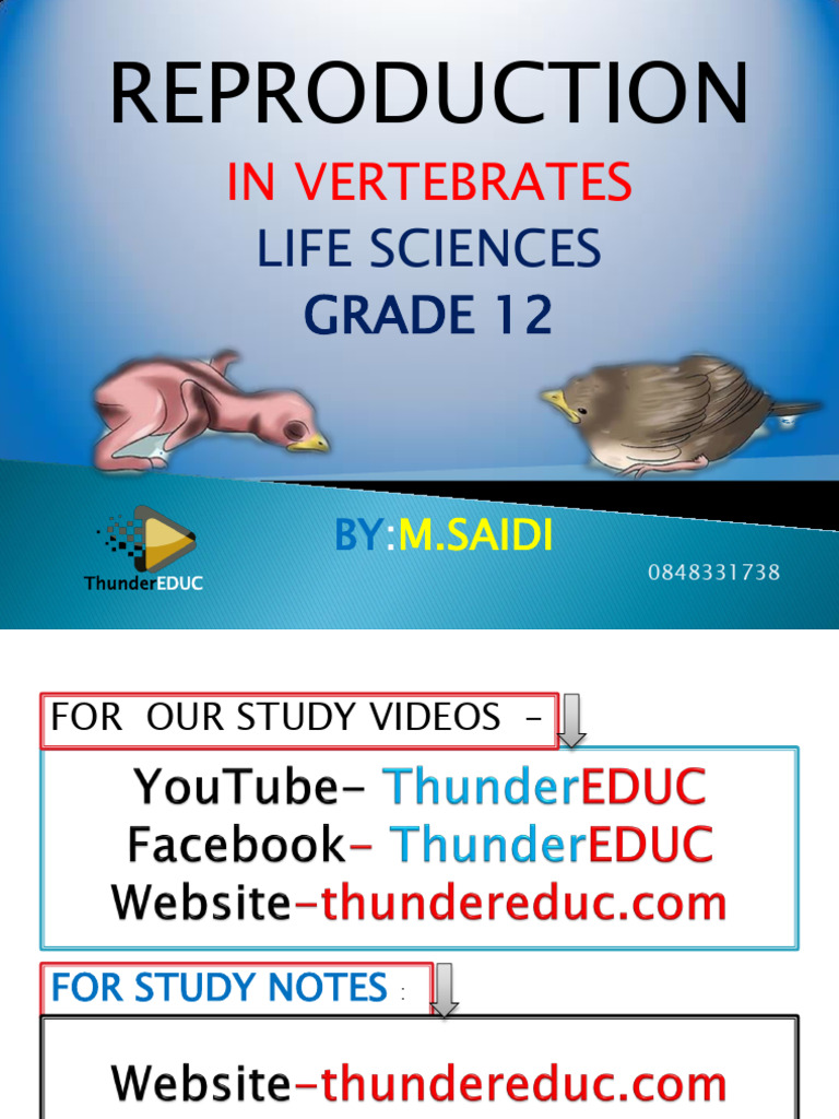 Reproduction in Vertebrates | PDF | Egg | Fertilisation