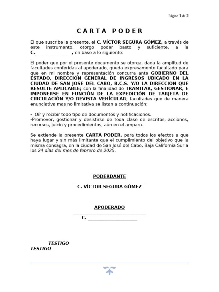 CARTA PODER SIMPLE | PDF