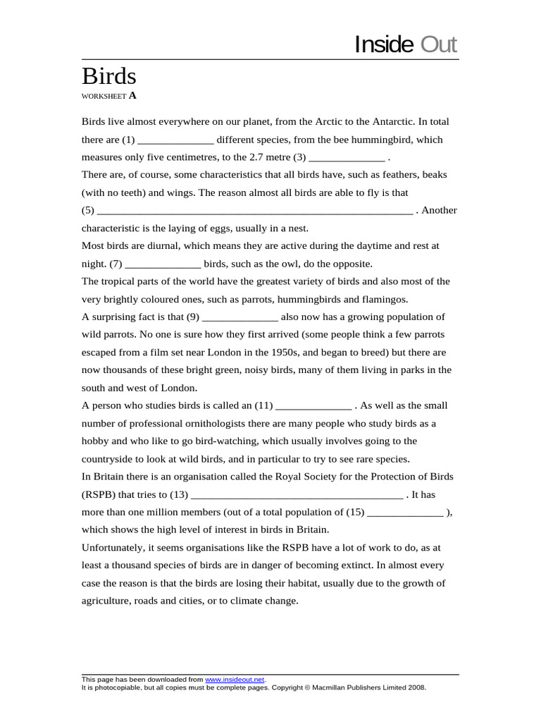 Birds Intermediate and Above | PDF | Birds | Parrot