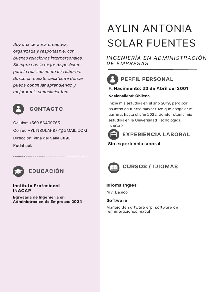 Curriculum Aylin Solar | PDF