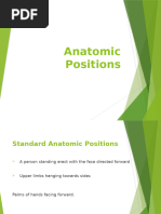 Body Cavities, Regions and Quadrants | PDF | Abdomen | Anatomy