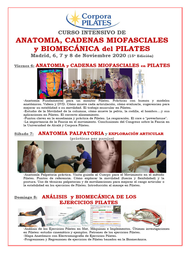 Curso o Anatomia Del Pilates 15 | PDF | Pilates | Terapia física