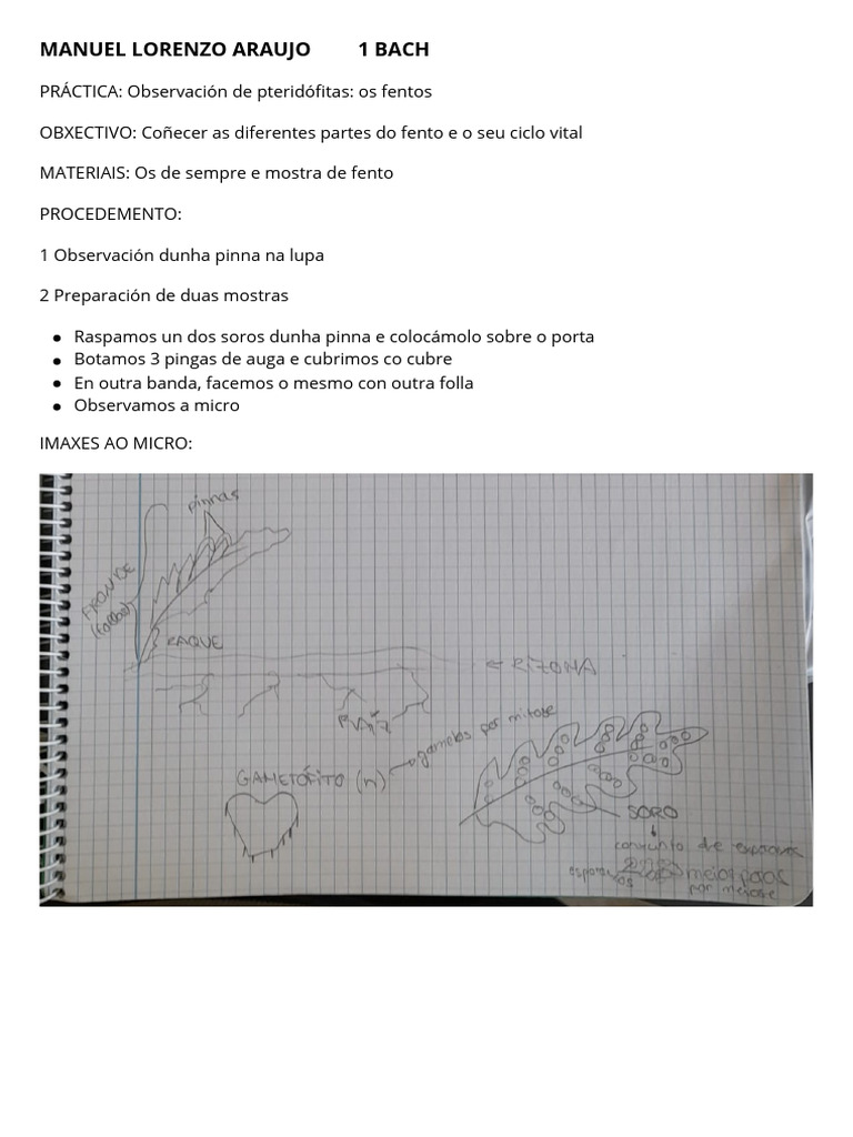 Manuel Lorenzo Araujo 1 Bach | PDF