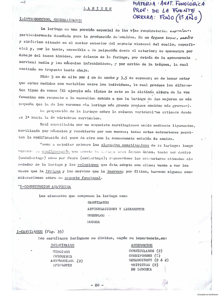 Anat.fonológica | PDF