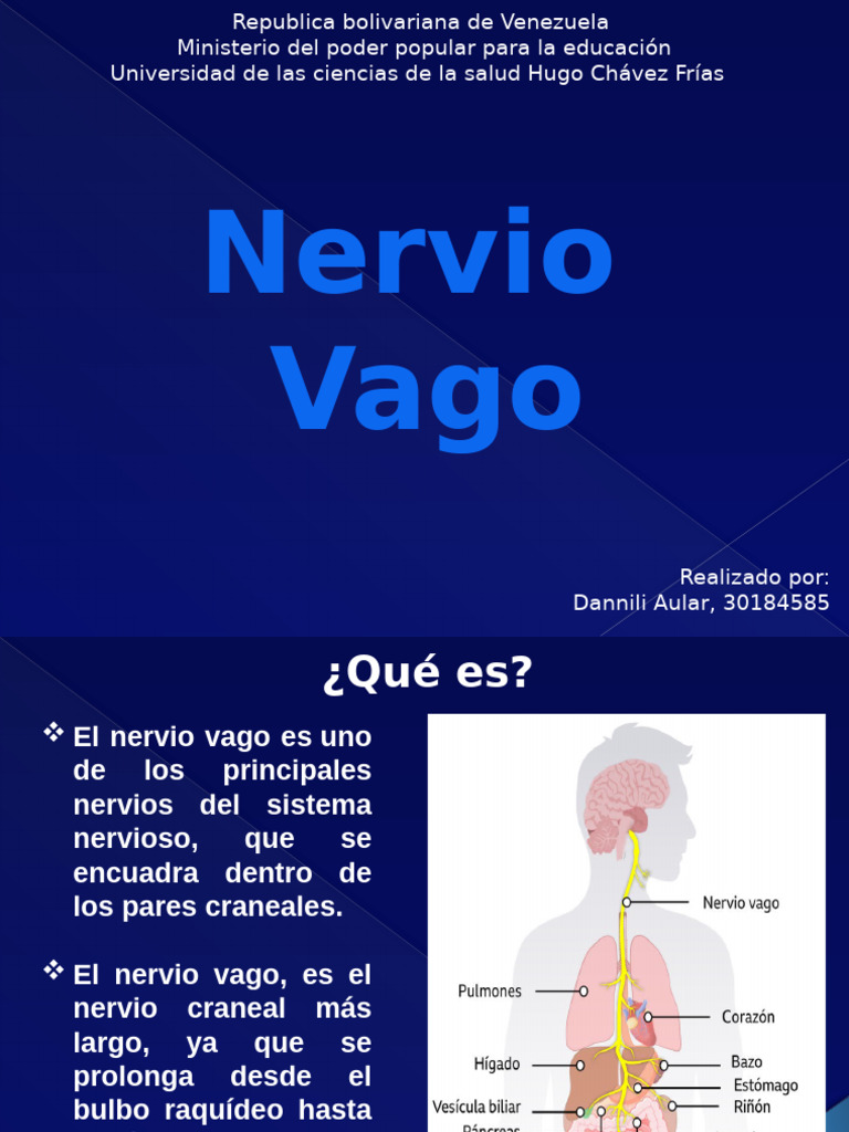 Nervio Vago | PDF