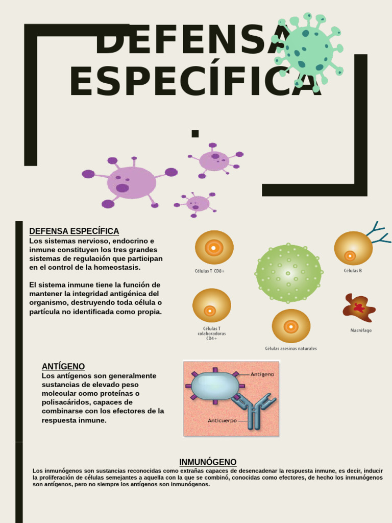 Defensa Específica 1 | PDF | Célula T | Sistema inmune