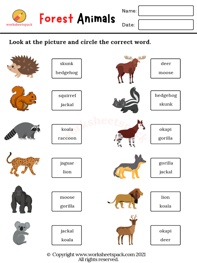 Forest Animals Worksheets PDF | PDF
