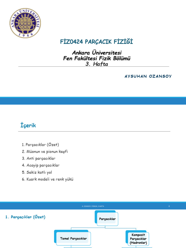Fiz0424 Hafta3 | PDF