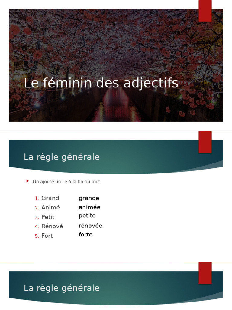 Le féminin des adjectifs | PDF | Échecs | Théorie (échecs)