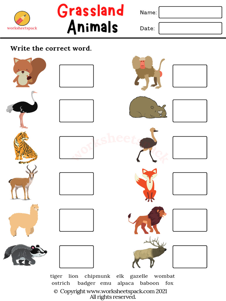 Grassland Animals List | PDF