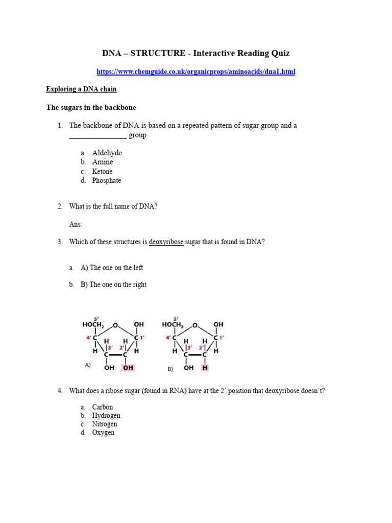 DNA Structure Interactive Quiz | PDF | Dna | Nucleotides