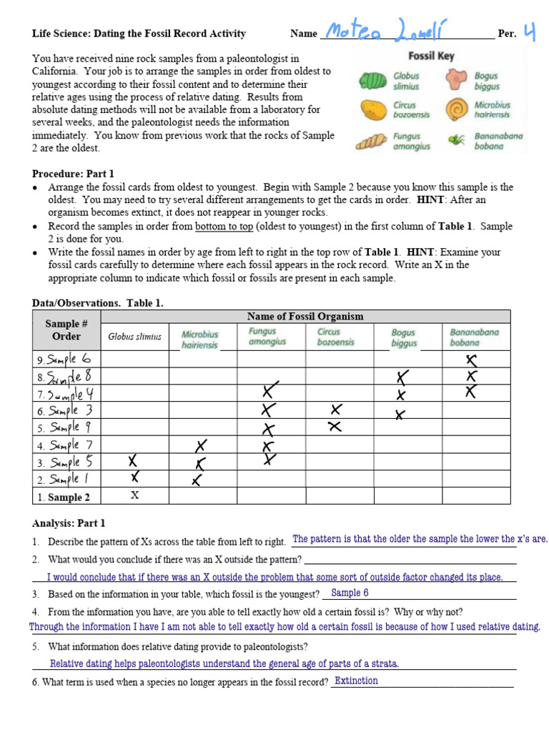 Fossil Record Dating Activity Guide | PDF | Fossil | Paleontology