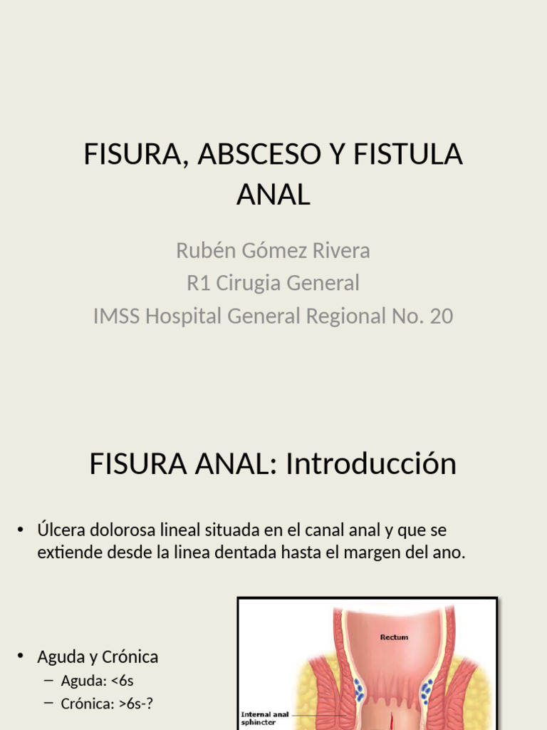 Fisuras y Fistulas Anales | PDF | Recto | Intestino grueso