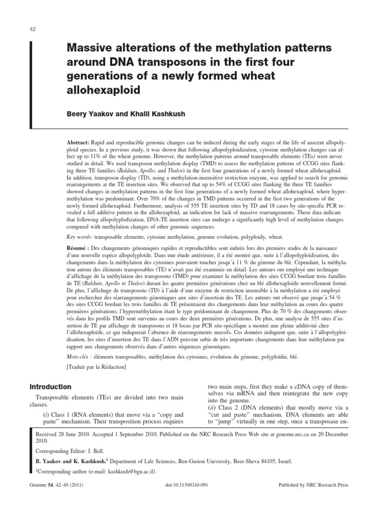 Massive Alterations Of The Methylation Patterns Around Dna Transposons 1724