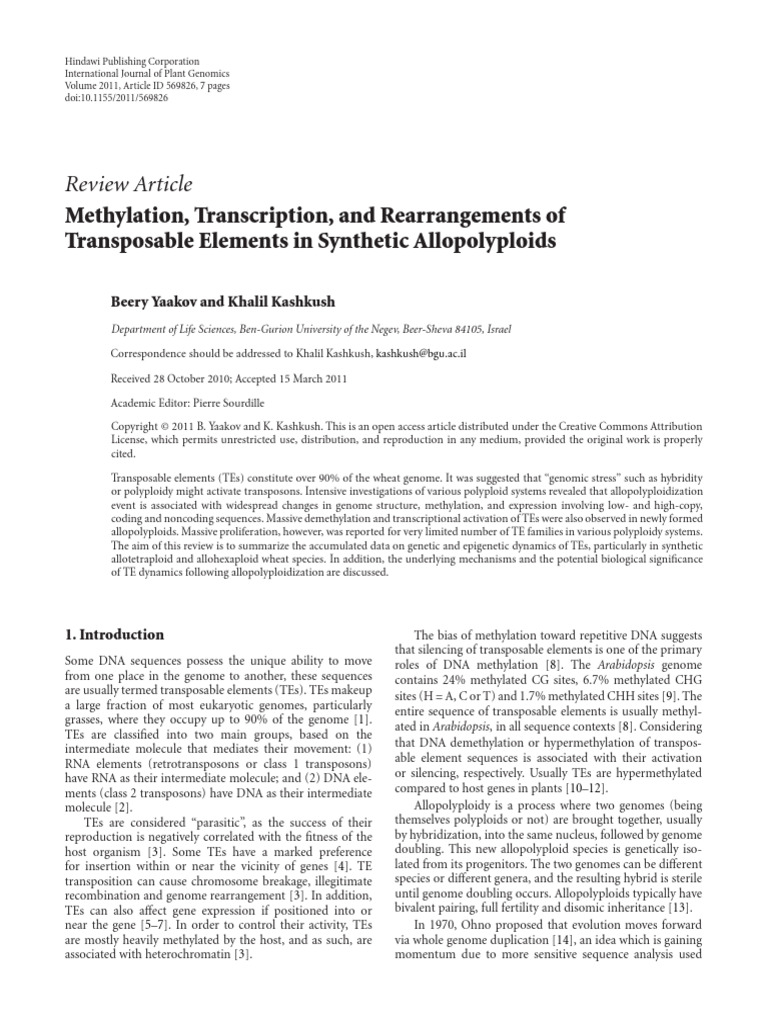 Methylation, transcription, and rearrangements of transposable elements in synthetic ...