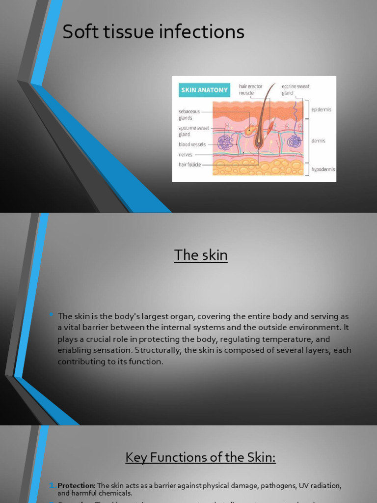Copy-Soft Tissue Infections | PDF | Skin | Methicillin Resistant Staphylococcus Aureus