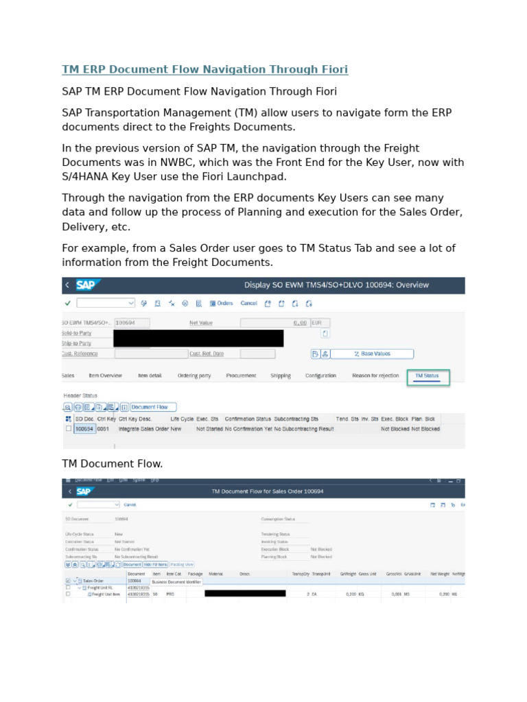 TM ERP Document Flow Navigation Through Fiori | PDF