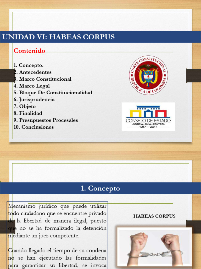 Guía Completa sobre Habeas Corpus | PDF | Habeas corpus | Derecho ...
