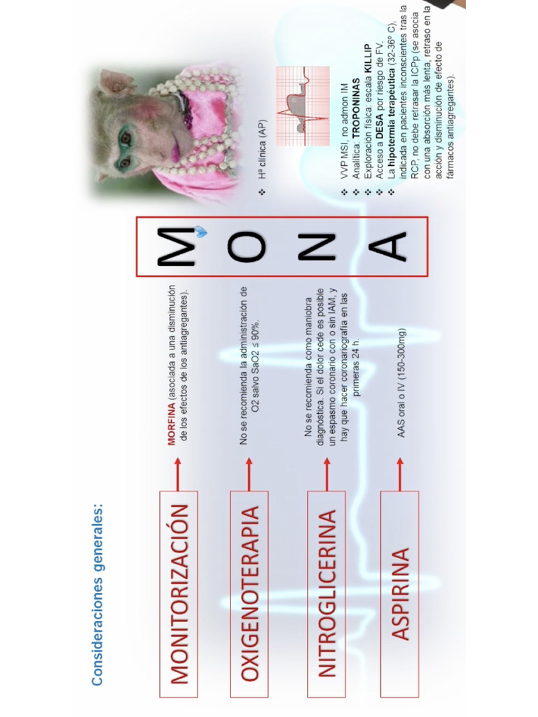 Código Infarto 3 | PDF