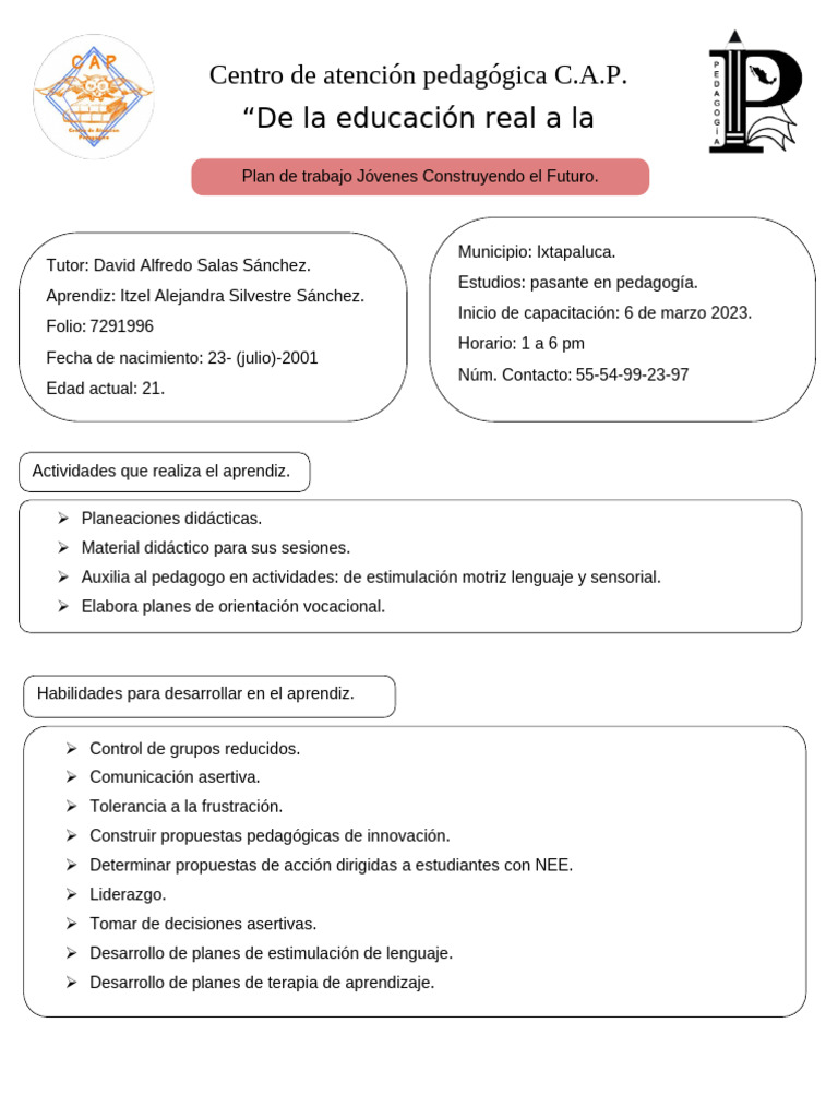 Plan JCF Cap | PDF | Aprendizaje | Teoría de la educación